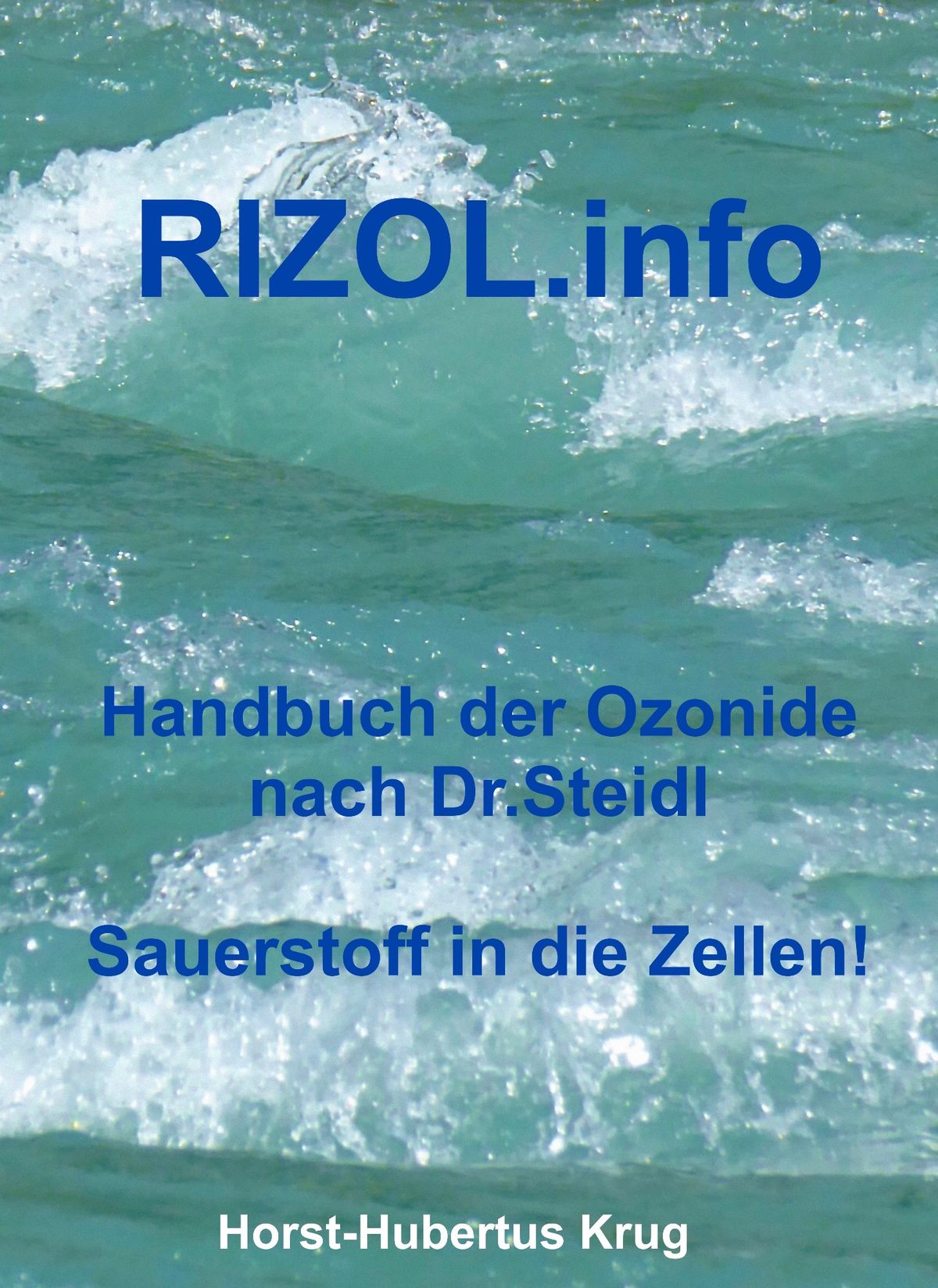 RIZOL.info -das BUCH